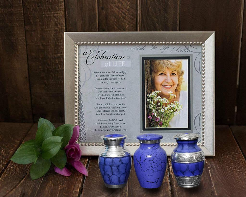 BOLD & DIVINE Small Cremation Urns for Human Ashes | Set of 6-3 Cubic Inches | Mini Keepsake Blue and Silver with Velvet Case