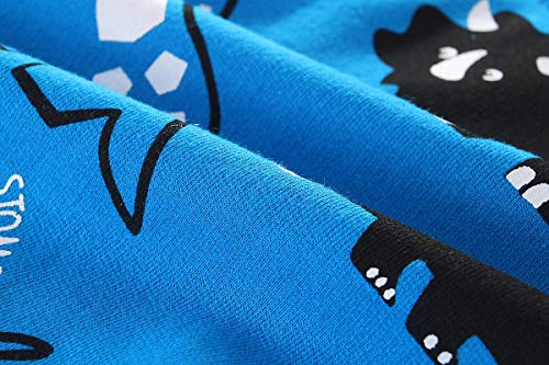 BTGIXSF Little Boys Cotton Crewneck Cartoon Long Sleeve Pullover Sweatshirt 167 4T