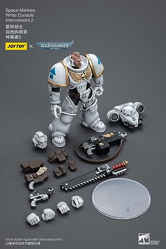 JoyToy Warhammer 40K: Space Marines White Consuls Intercessors 2 1:18 Scale Action Figure