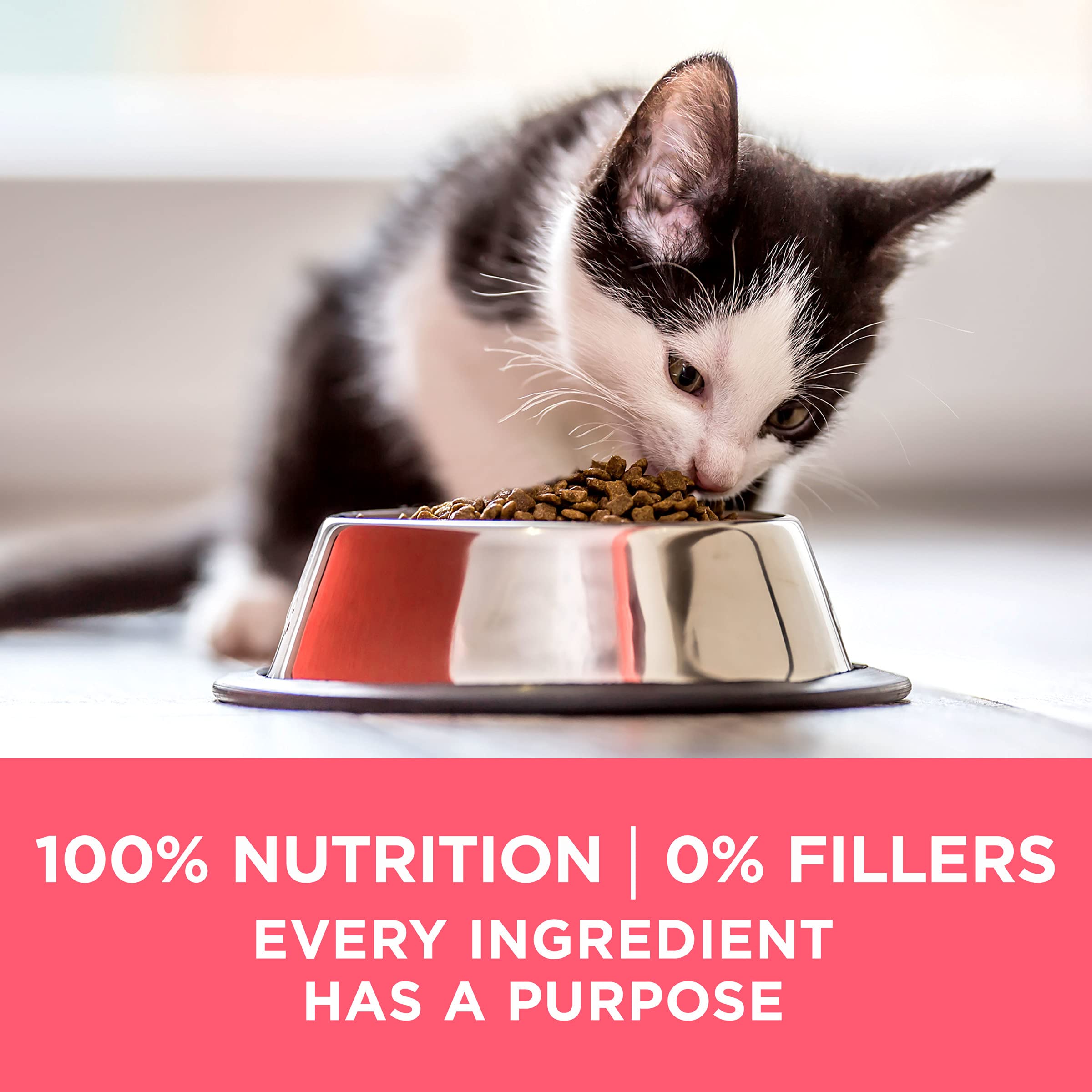 Purina ONE High Protein, Natural Dry Kitten Food, +Plus Healthy Kitten Formula - 16 lb. Bag