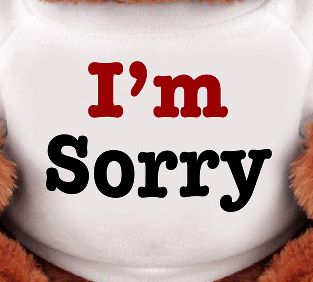 I Am Sorry Teddy Bear - Cute and Cuddly : Funny Teddy Bear Couple Gift : Romantic Medium Teddy Bear Stuffed Animal
