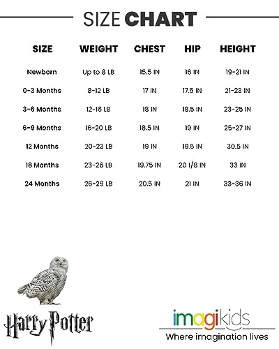 Harry Potter Hedwig Owl Hogwarts Baby Girls 3 Piece Outfit Set: Hoodie Pants Bodysuit White 3-6 Months