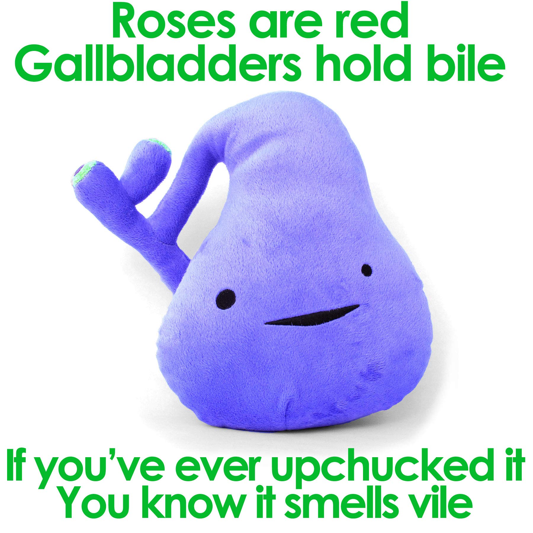 I Heart Guts Gallbladder Plush Toy - You’ve Got Gall! - 8" Educational Organ Stuffed Animals - Gallbladder Surgery Recovery Gifts, Ideal for Doctors, Nurses, Graduation