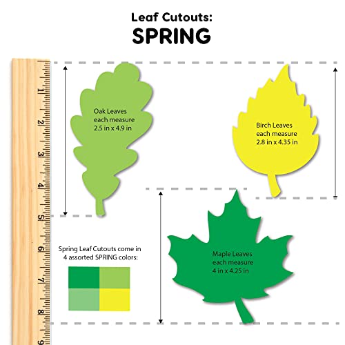 FreshCut Crafts | 120 Pieces Spring Leaf Paper Cutouts with IDEA GUIDE, 2-Sided US Made Card Stock Punch Out Maple Oak Birch Leaves for Bulletin Boards, Classroom Decor, and Posters