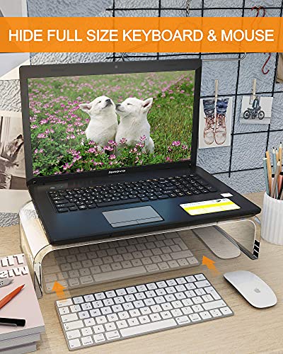 Clear Monitor Riser, Acrylic Computer Stand 20 inch - Sturdy 50LB Max - Promote Pain Relief Posture & Free Up Cluttered Space with TV, Laptop & PC Computer & Desk Storage Organizer Stand Riser