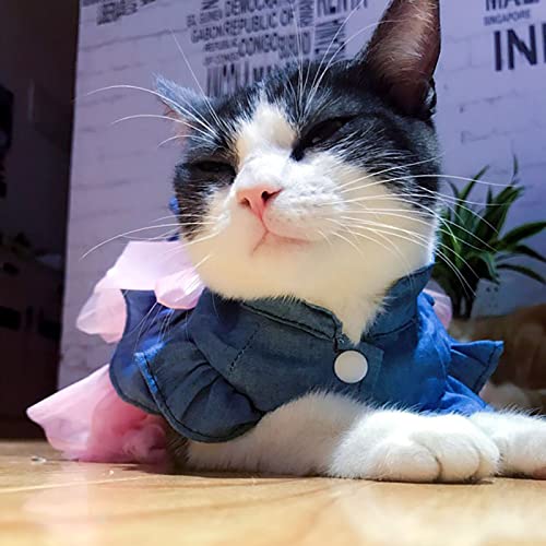 Letter Printing Pet Shirt for Puppy Dogs Cats Lightweight Doggie Tops Pullover Sleeveless Female Pet Clothes Tiny Dog Outfits Pink X-Small