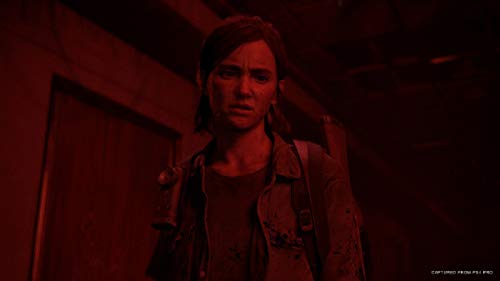 The Last of Us Part II - Special Edition (PS4)