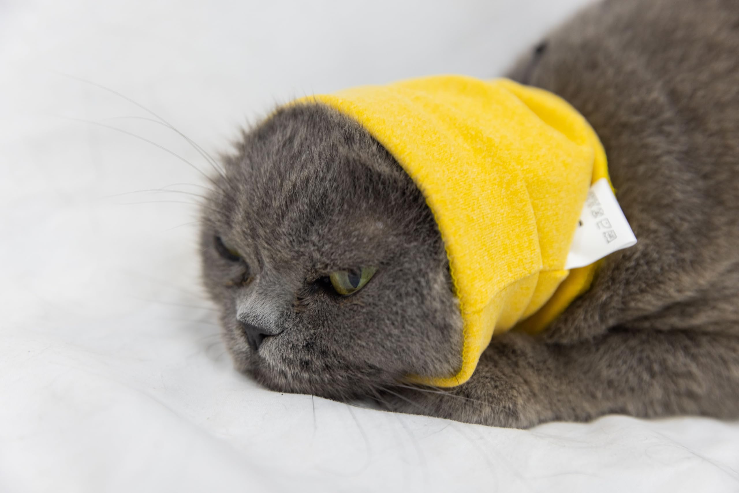 DDFS Cat Hematoma Ear Wrap,Cat No Flap Ear Wrap Anxiety & Stress Relief - No Flap Ear Wrap for Cats Yellow S