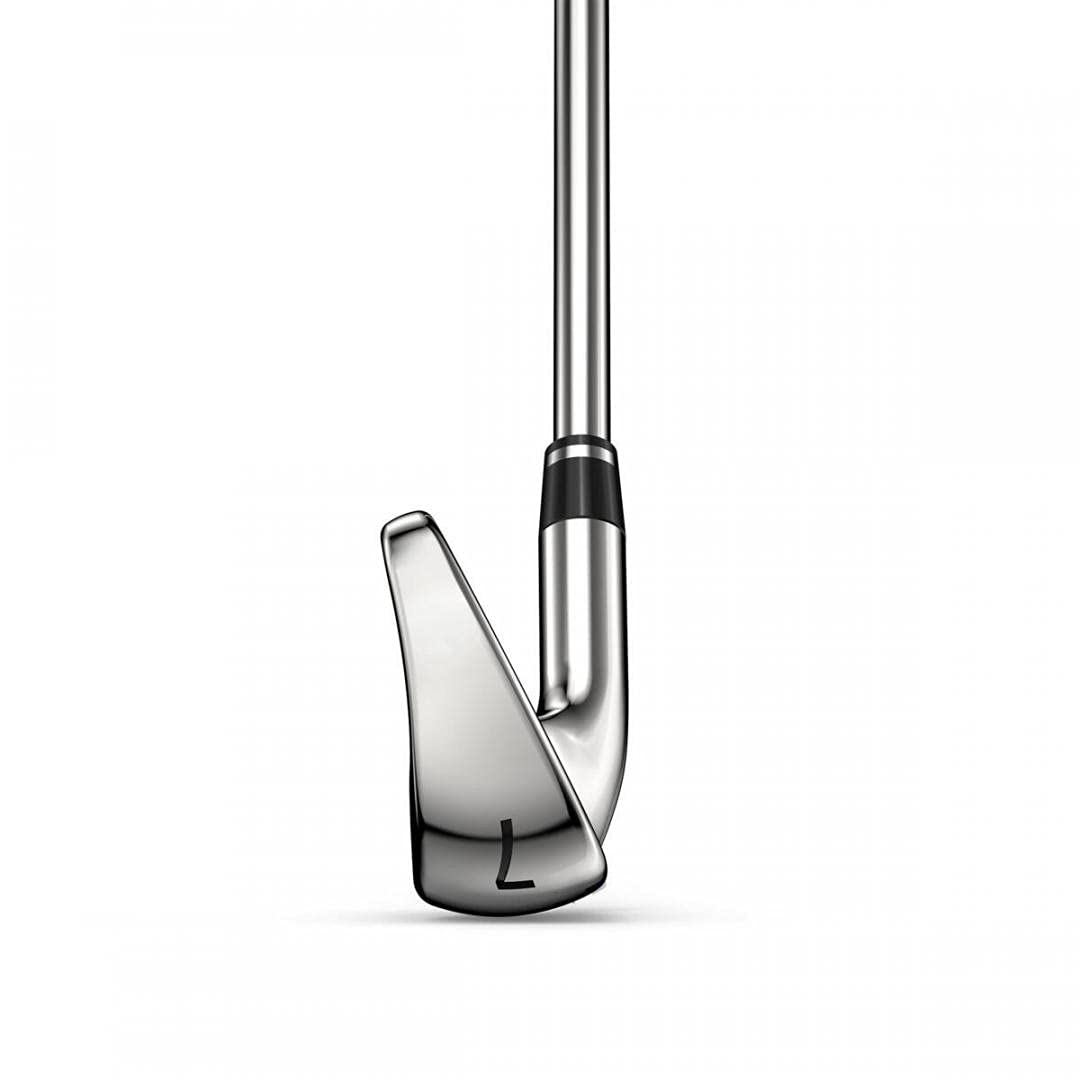 Wilson Staff Golf Clubs Iron Set, D9, 5-PW, SW, A-Flex, for Right-Handers, Graphite Shaft, 7 Clubs, Silver/Blue, WGR200060A