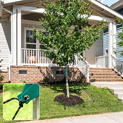 Heavy Duty Steel Tree Stake Kits with Tree Straps and 50ft Reflective Rope Tree Support Anchoring Kit,Tree Supports for Leaning Tree