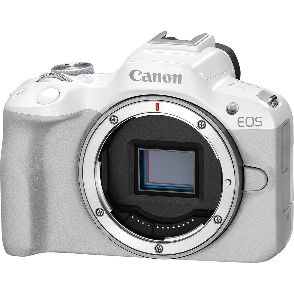 Canon EOS R50 Mirrorless Camera | White Bundled with 64GB Memory Card + Camera Case with Rain Cover + Microfiber Cleaning Cloth (4 Items)