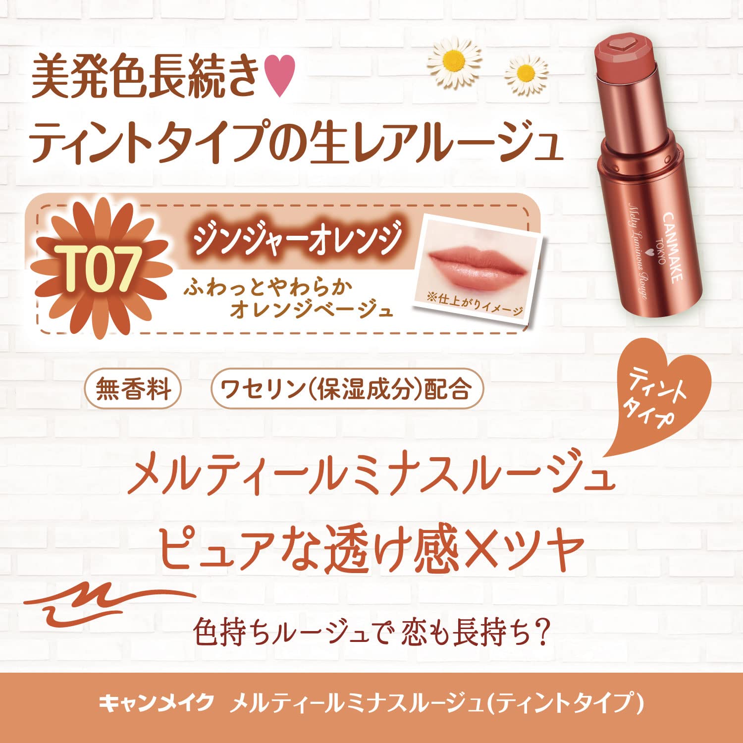CANMAKE Melty Luminous Rouge Tint type T07 Ginger Orange