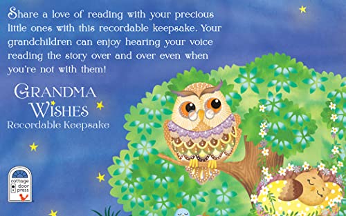 Grandma Wishes: Recordable Keepsake Board Book - Record Your Voice Reading the Story!