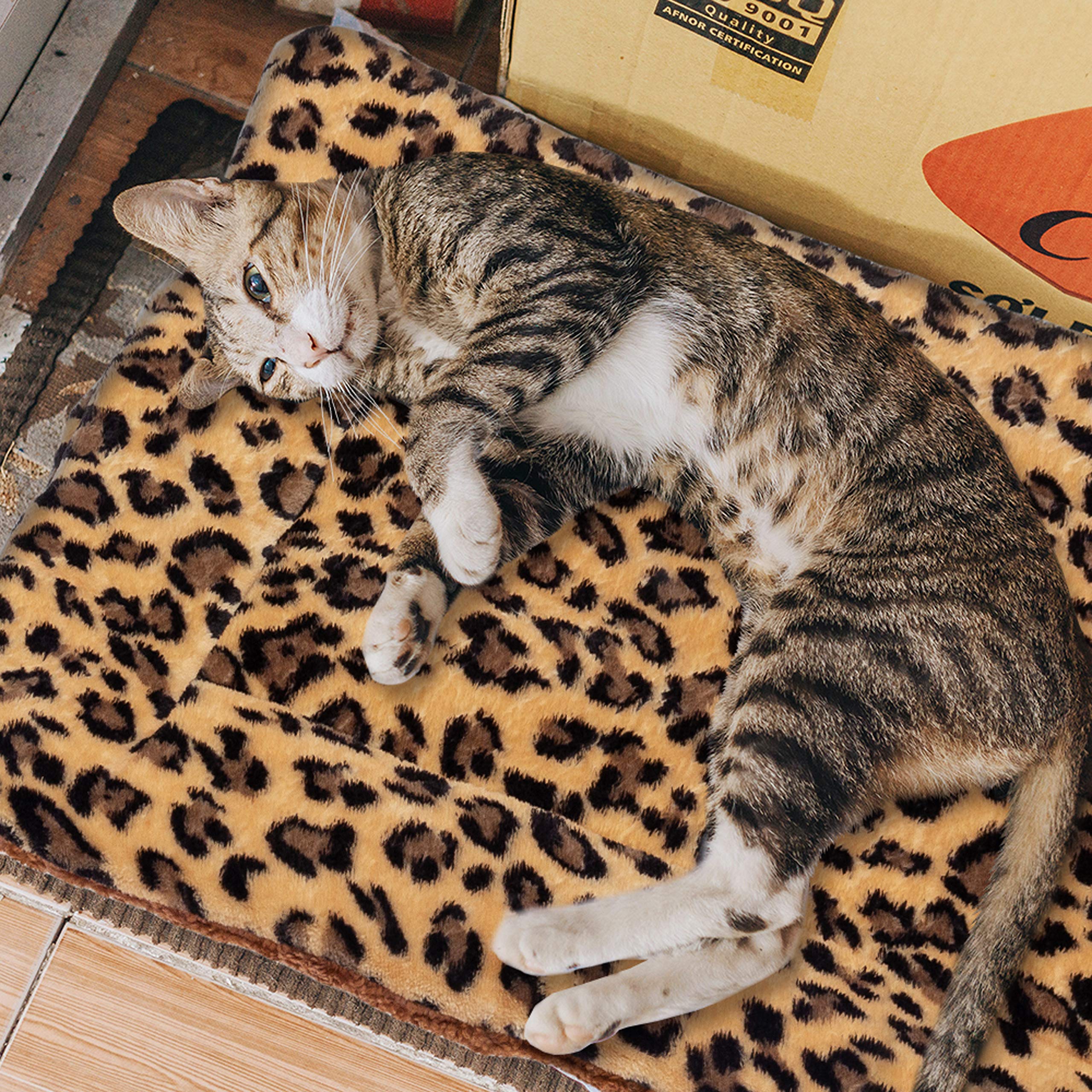 FLYSTAR Cat Bed Mat for Indoor Cats - Self Warming Leopard Cute Cat Bed Mat, Soft Warm Washable Self Heating Cat Bed Pad for Small, Medium, Large Cats & Puppies(15.7"*19.7")