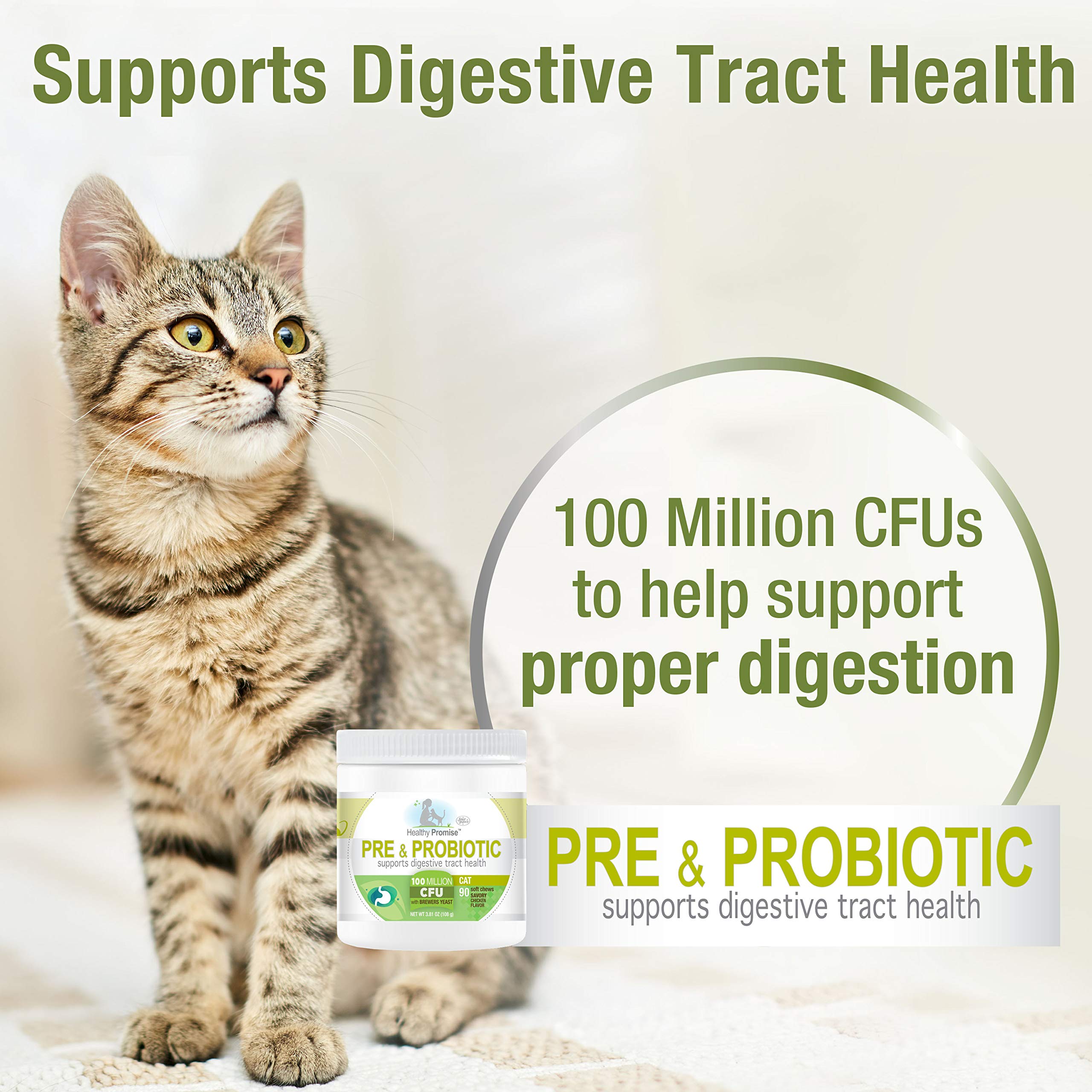 Four Paws Healthy Promise Pre and Probiotics for Cats Soft Chews 90 Count