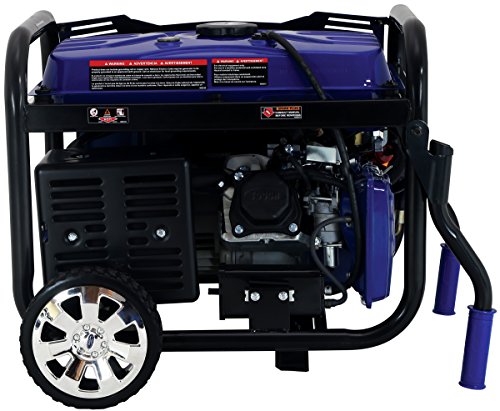 Ford 5,250W Dual Fuel Portable Generator with Switch & Go Technology and Remote Start, FG5250PBR