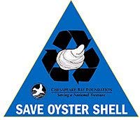 RiverView Enterprise ORIGINAL CHESAPEAKE BAY OYSTER KNIFE - SHUCKING CLAM/SHELLFISH OPENER - STAINLESS STEEL - SEAFOOD KNIFE