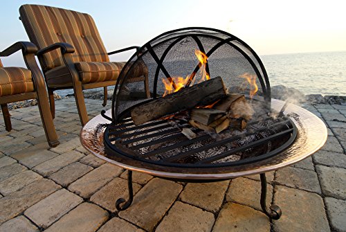 Good Directions 775 30" Large Lifter Spark Screen, 30 Inch