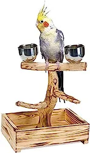 PENN-PLAX Bird-Life Natural Wood Tree Perch for Small and Medium Birds – Includes 2 Stainless Steel Cups and Drop Tray – Medium