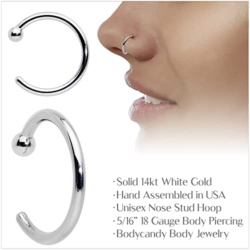 Body Candy Nose Hoops 14k Gold White Gold Nose Ring Piercing Jewelry 18 Gauge 5/16"