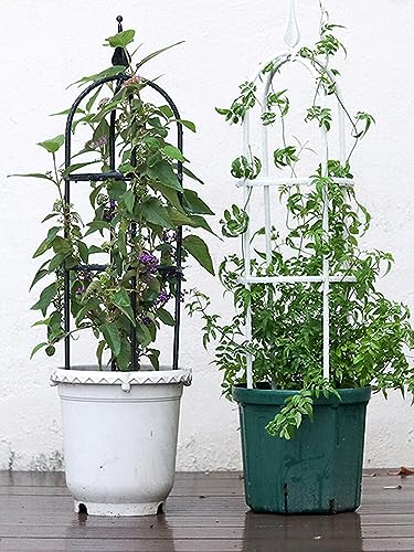 Durable Home Climbing Plant Support Black 20 X 60cm White Natural U-Hoops Durble External Rose Trellis Plants Stand