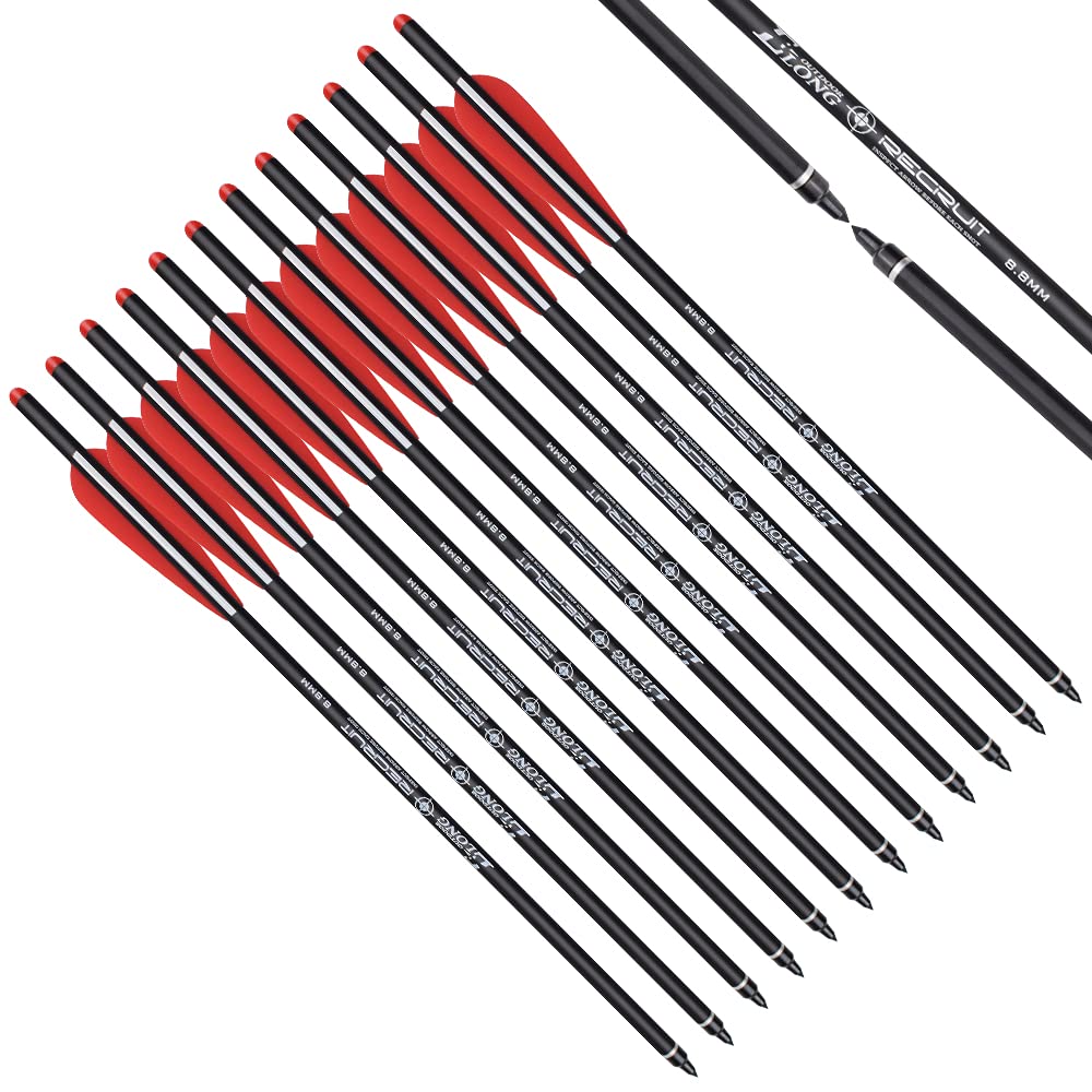Carbon Crossbow Bolts 16 Inch Hunting Archery Arrows with 4" Vanes Replaced Arrowhead Tip 12PCS