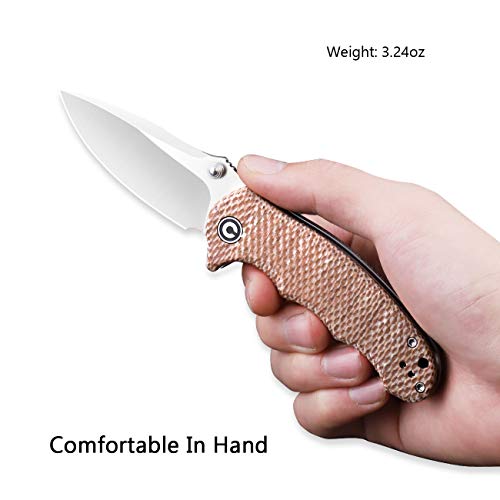 CIVIVI Hooligan Small Pocket Knife - Folding Knife with 2.98β D2 Blade Micarta Handles,Hunting Outdoor Knife with Reversible Clip for men C913C (Snakeskin)