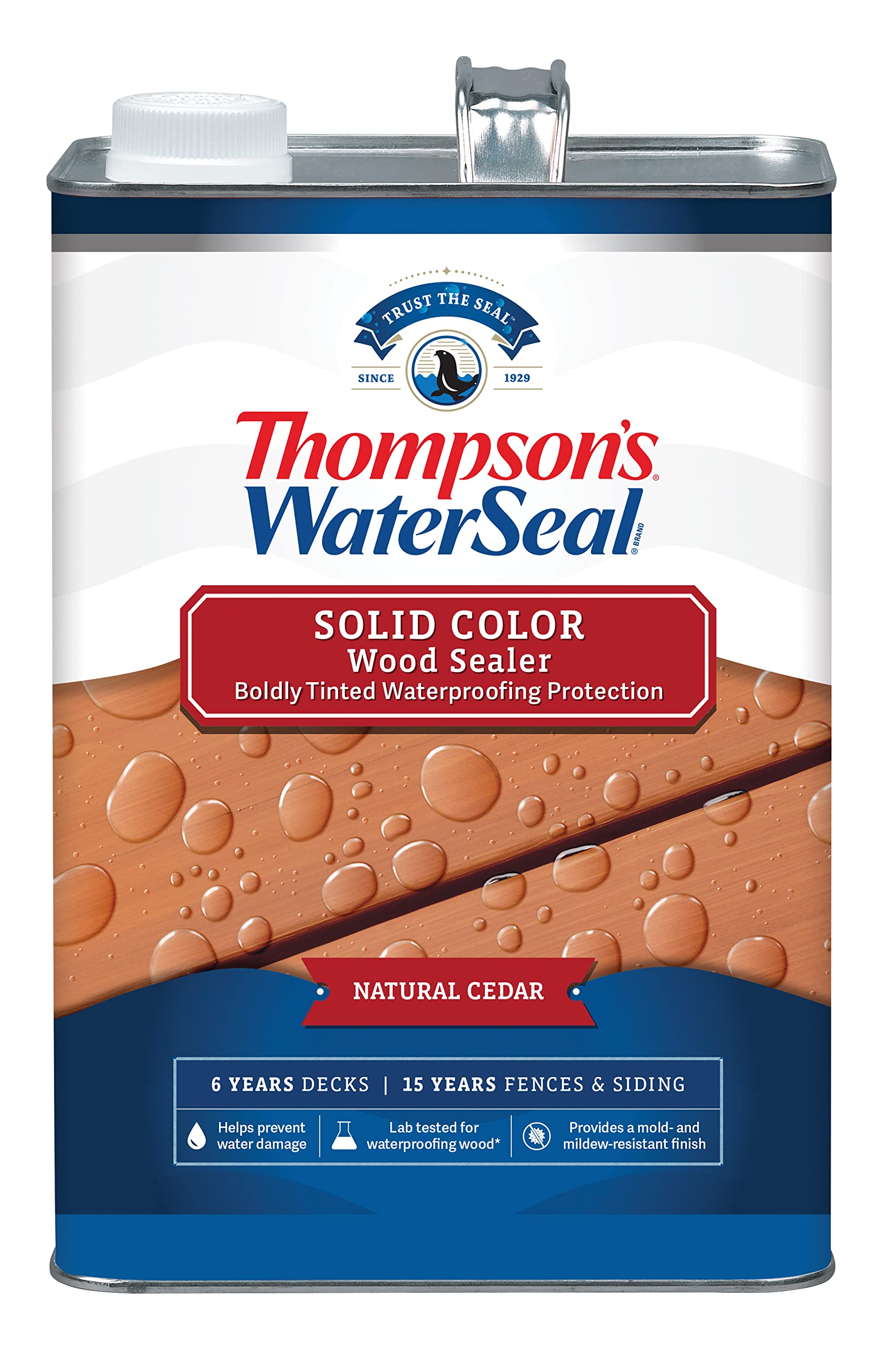 Thompson’s WaterSeal Solid Color Waterproofing Wood Stain and Sealer, Natural Cedar, 1 Gallon