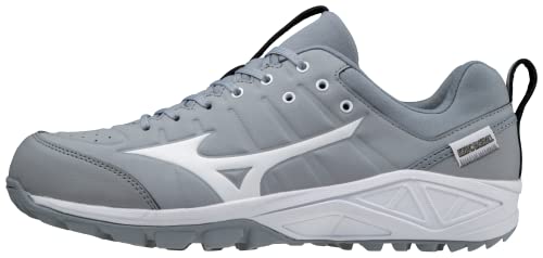 Mizuno mens All Surface Low Ambition 2 Turf Shoe, Grey-White, 10.5 US