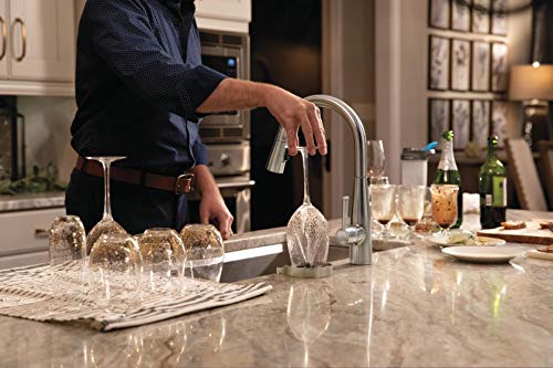 Delta Faucet Glass Rinser for Kitchen Sinks, Kitchen Sink Accessories, Bar Glass Rinser, SpotShield Stainless GR150-SP