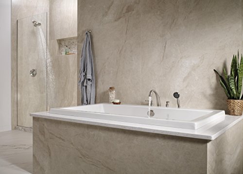 Delta Faucet T4732-SS Woodhurst Roman Tub with Handshower Trim, Stainless (Valve sold separately)