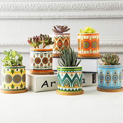 COLOAPT Succulent Plant Pots - 3.1 inch Ceramic Succulent Planter -Cylinder Flower Pots for Cactus with Drainage Hole and Bamboo Tray, 6 Pack (Multicolor1)