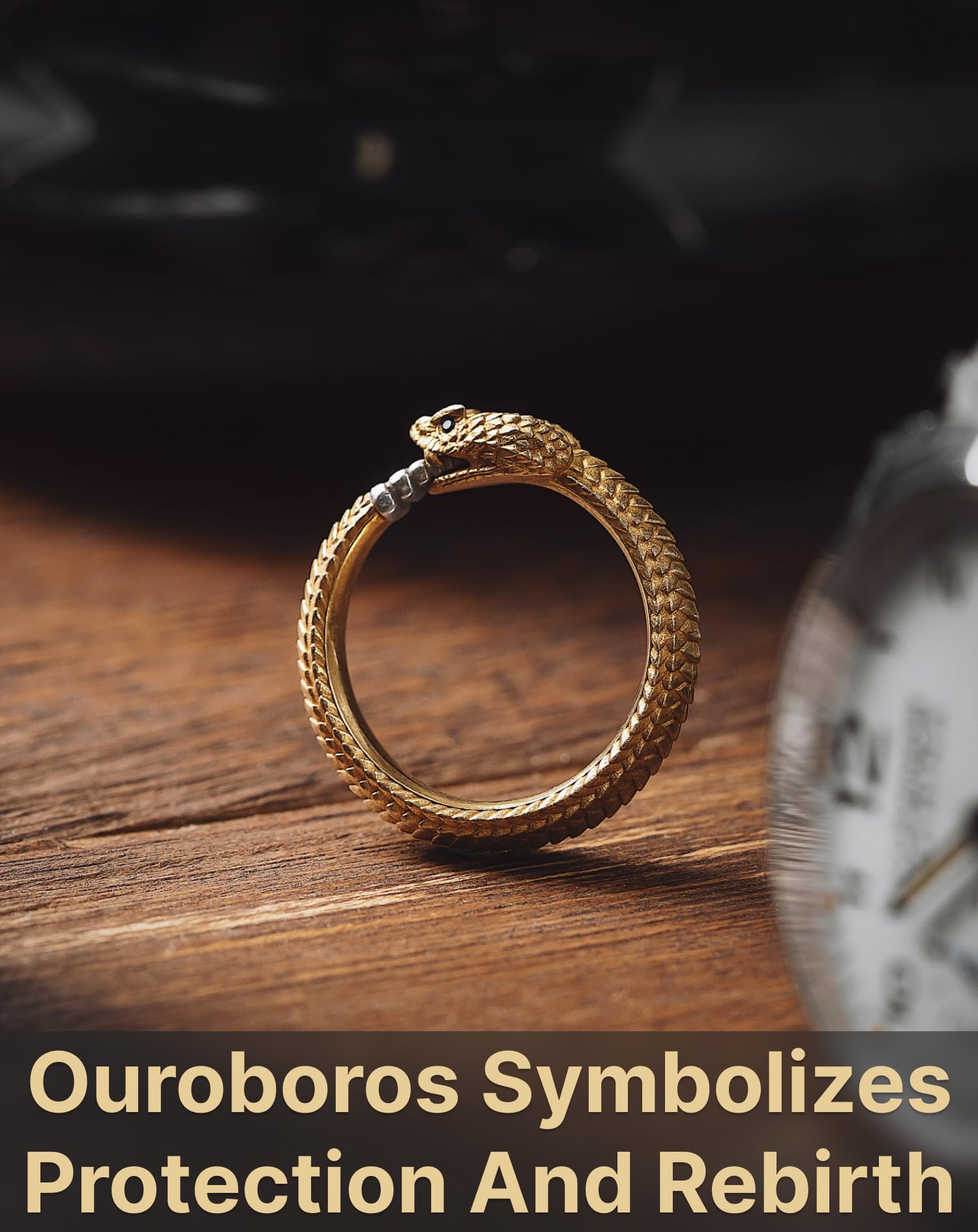 COPPERTIST.WU Ouroboros Ring Brass Snake Serpent Rings Aesthetic Jewelry Gift for Men Women (10.5)