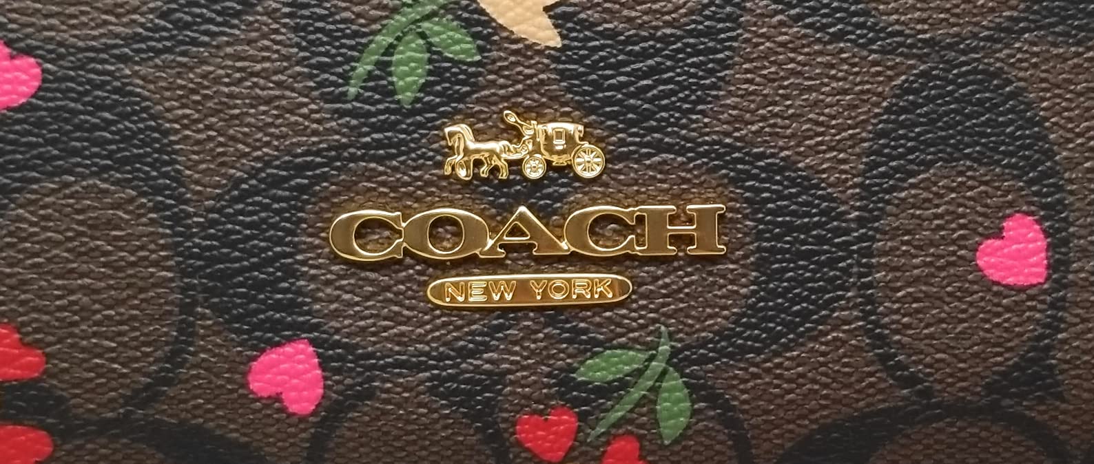 COACH Women's Jes Crossbody Bag in Signature Canvas (Heart Petal Print - Brown - Multi)