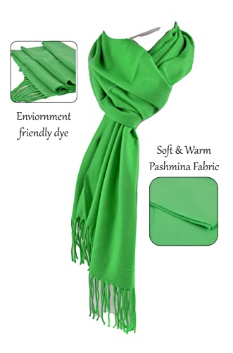boxed-gifts Soft & Silky 100% Pashmina Scarf with Tassels - Elegant Scarf Shawl Wrap + Lightweight Solid Scarf for Women-Green Scarf