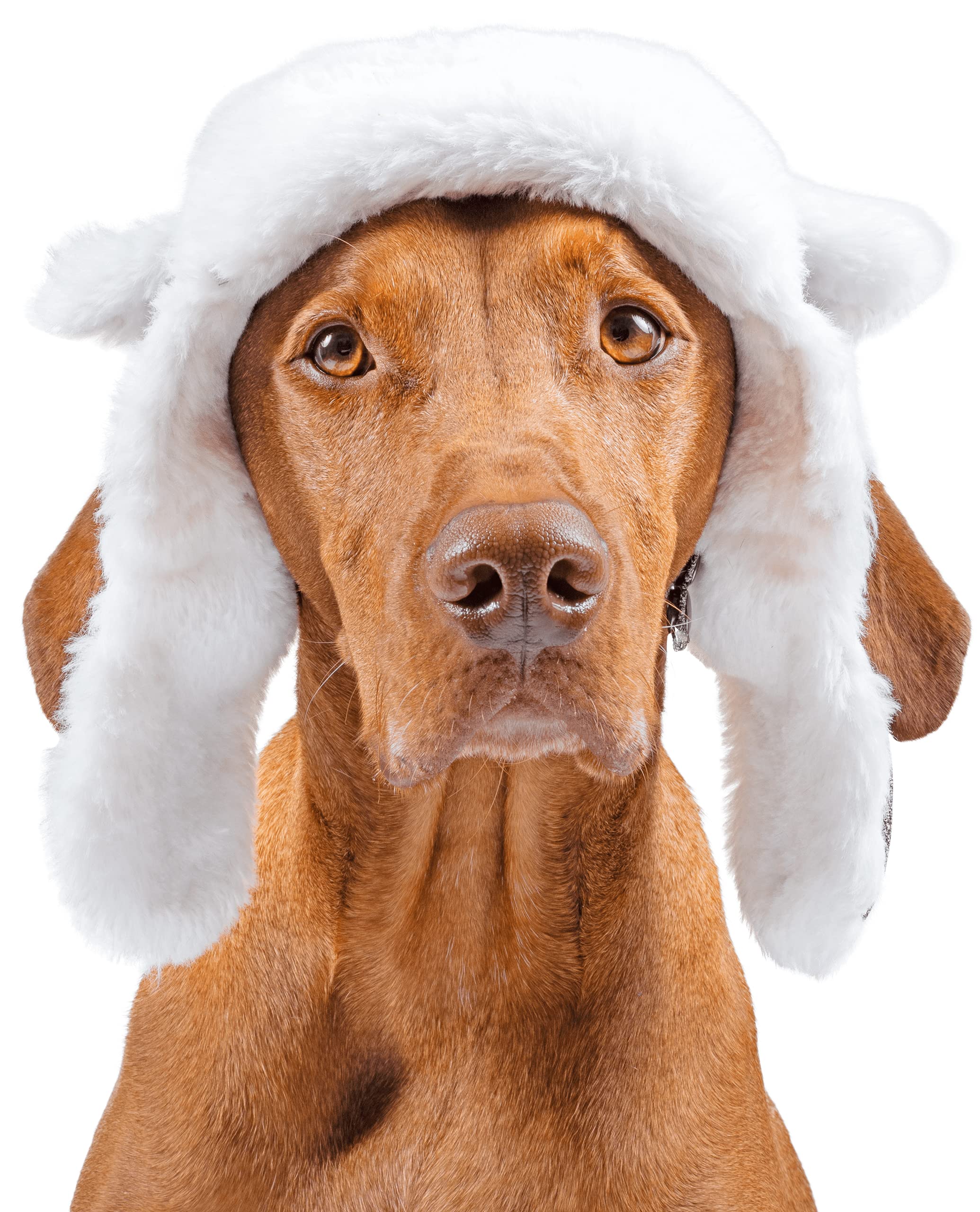 Canada Pooch Dog Winter Hat Adjustable Pet Beanie with Ear-Holes with Faux-Fur Lining Dog Avaitor Hat Cute Dog Accessory for Small Medium Large Dogs - Grey/S