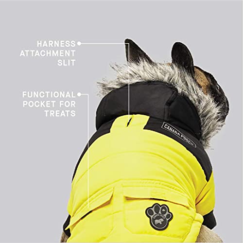 Canada Pooch True North Parka - Yellow - Size 10, 10 (9-11" Back Length)