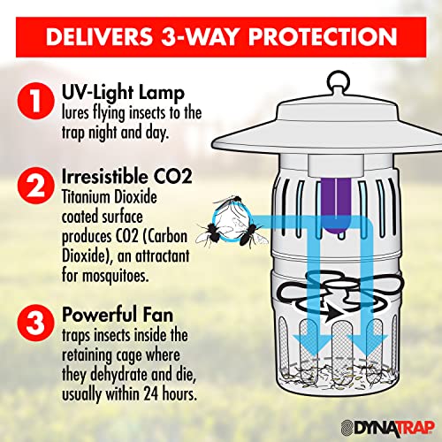 DynaTrap DT1050-TUNSR Mosquito & flying Insect Trap β Kills Mosquitoes, Flies, Wasps, Gnats, & Other Flying Insects β Protects up to 1/2 Acre