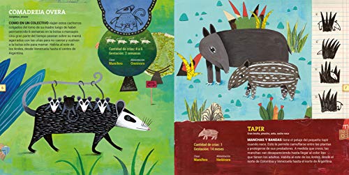 Cachorros del fin del mundo (Spanish Edition)