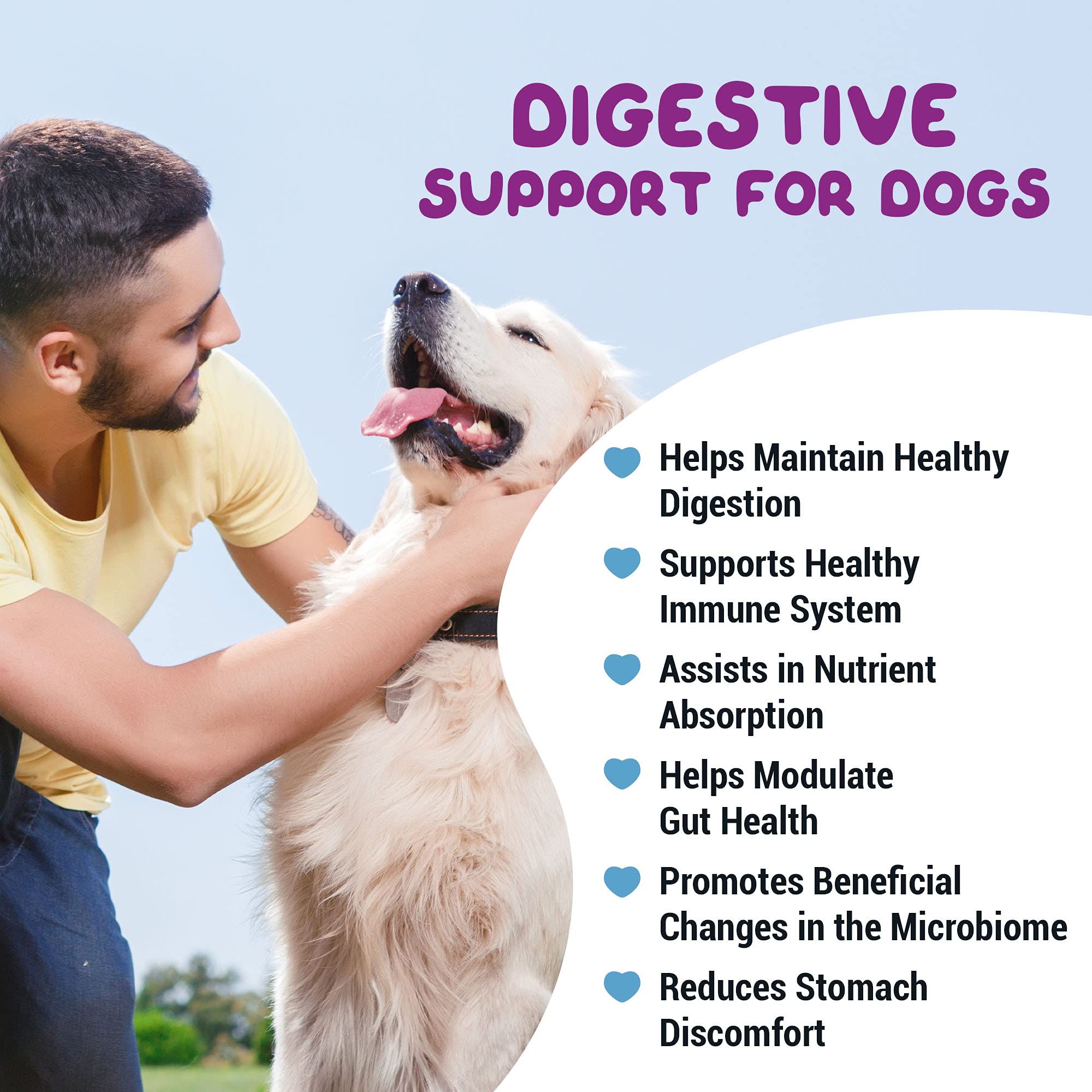 Healthy Dog World Digestive Chews with Enzymes - Probiotics for Dogs - Probiotic for Gut Flora, Digestive Health - Relieves Dogs Diarrhea - Bowel Support - Improves Digestion, Immunity - 120 ct.