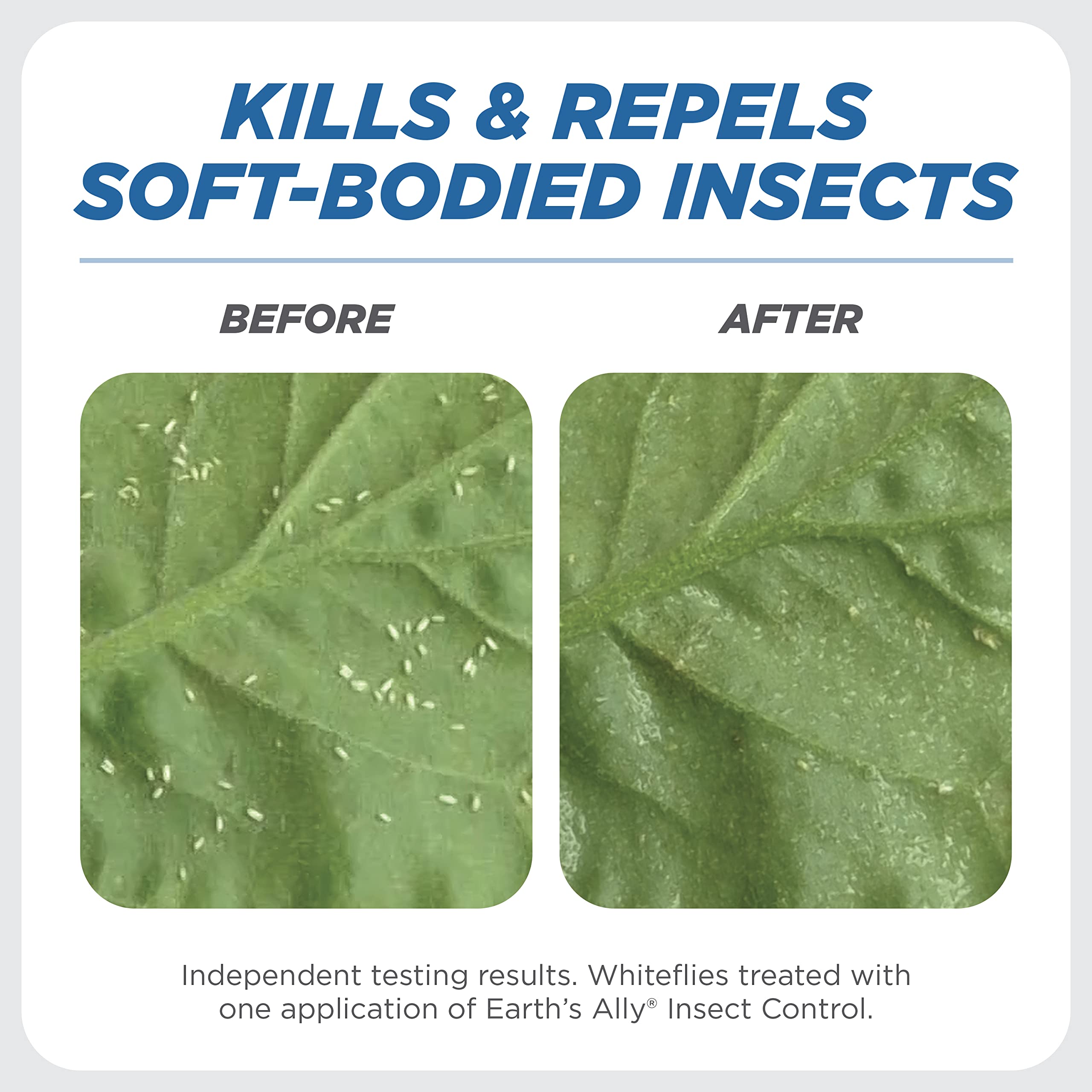 Earth's Ally Insect Control for Plants | Safe Outdoor & Indoor Plant Insecticide, Spider Mite, Aphid & Mealybug Killer - Effective Spray for Organic Garden & Household Plants, Ready-to-Use, 24oz