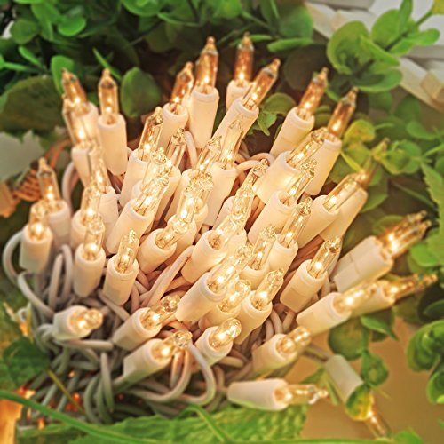 ON'H Christmas Lights 100 Count Clear Mini String Lights Set for Room Garden Holiday Party with Warm White, White Wire