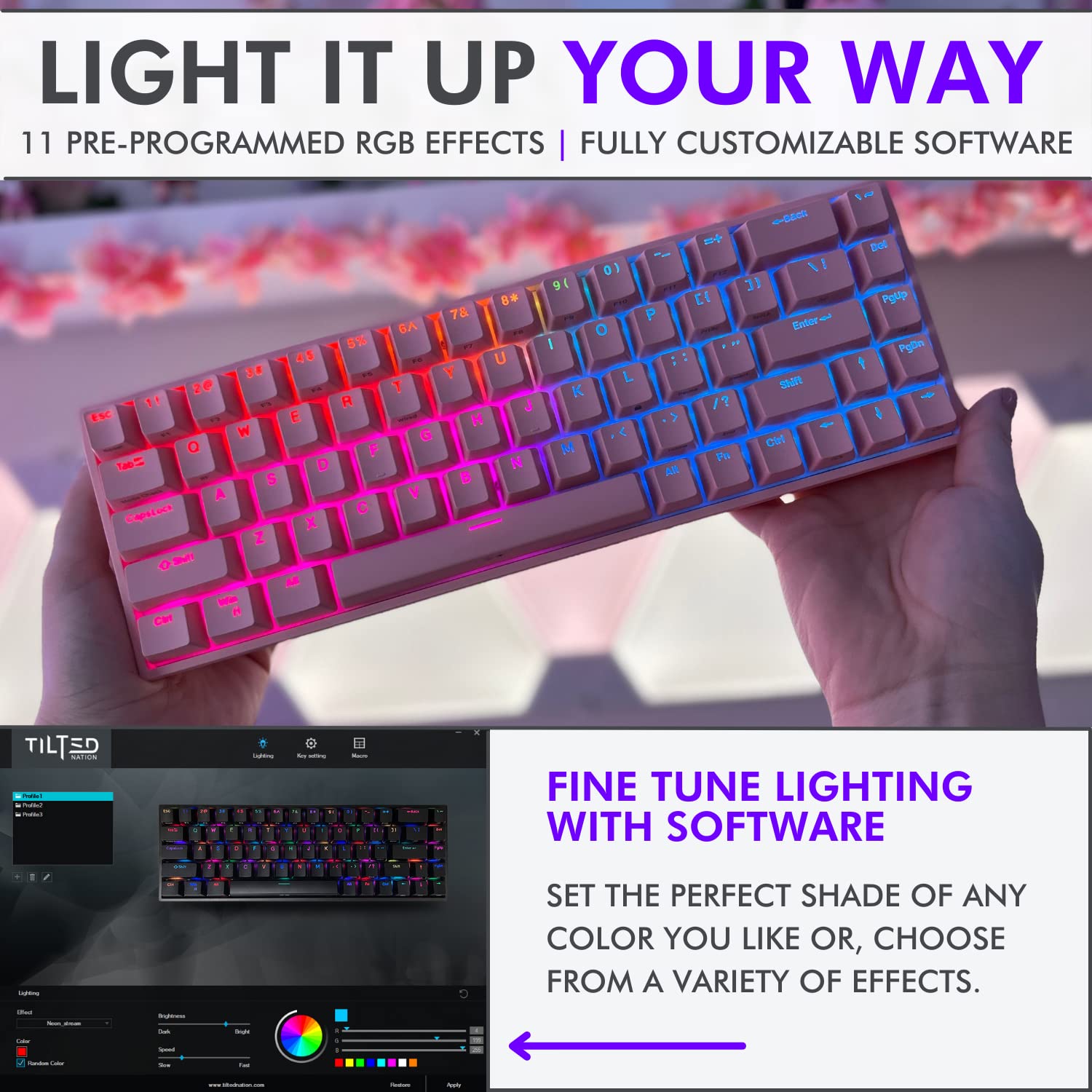 Tilted Nation 65% Percent Keyboard Pink - Compact Hot Swappable Mechanical Keyboard - Dual Wired or 2.4G Wireless RGB Gaming Keyboard - Rechargeable, 68 Key, Customizable RGB, Brown Switches