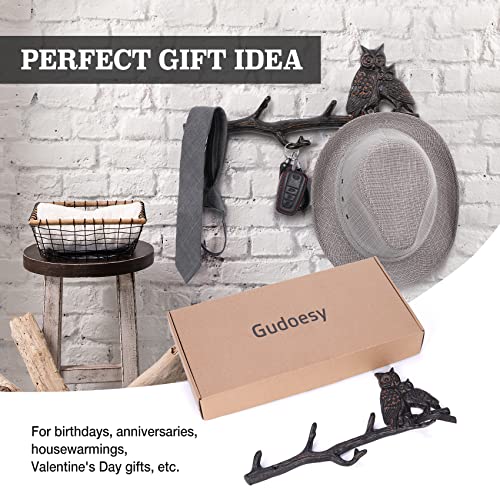 Gudoesy Wall Hooks,Decorative Wall Hooks,Rustic Decorative Coat Hooks for Hanging