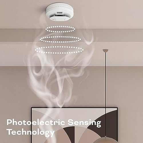 Kidde Smoke & Carbon Monoxide Detector, AA Battery Powered, Voice Alerts, LED Warning Light Indicators