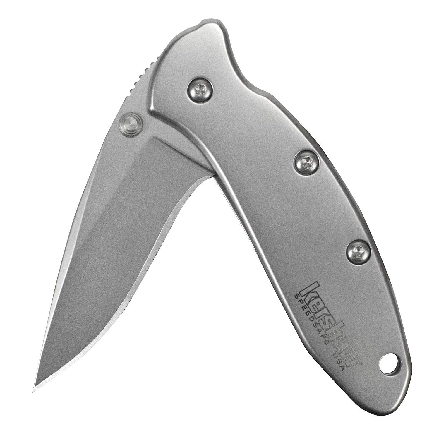 Kershaw Chive Pocket Knife (1600); 1.9” 420HC Steel Blade with 410 Stainless Steel Handle, SpeedSafe Assisted Opening with Flipper, Frame Lock, Tip-Lock Slider and Single-Position Pocketclip (1-Unit)