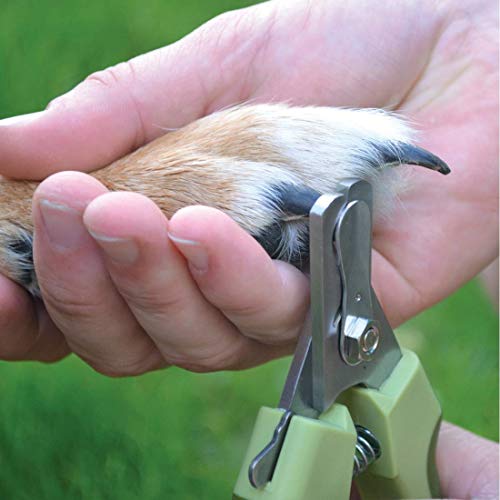 Sarari Professional Nail Clipper Regular - Pack of 2