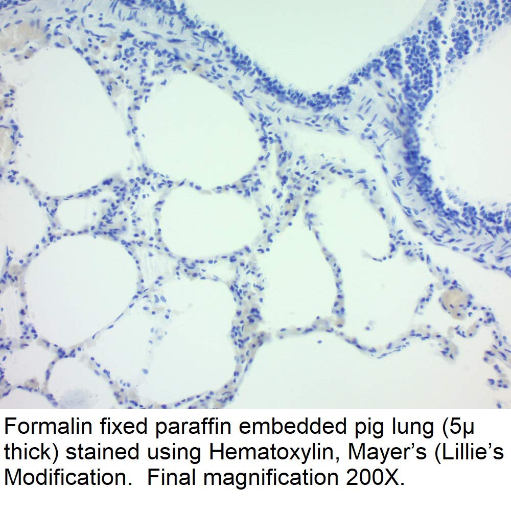 Hematoxylin, Mayer's (Lillie's Modification), 1 Gallon
