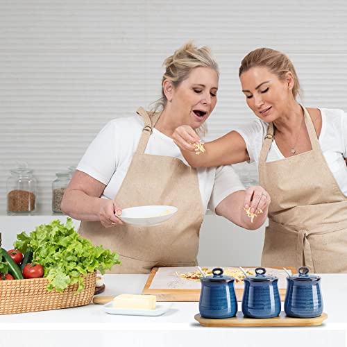 Hasense Porcelain Condiment Jar,10oz Spice Container with Lid Spoon and Bamboo tray,Small Salt Sugar Pepper Seasoning Pots Box Set of 3,Ceramic Condiment Container for Home kitchen Counter(Blue)