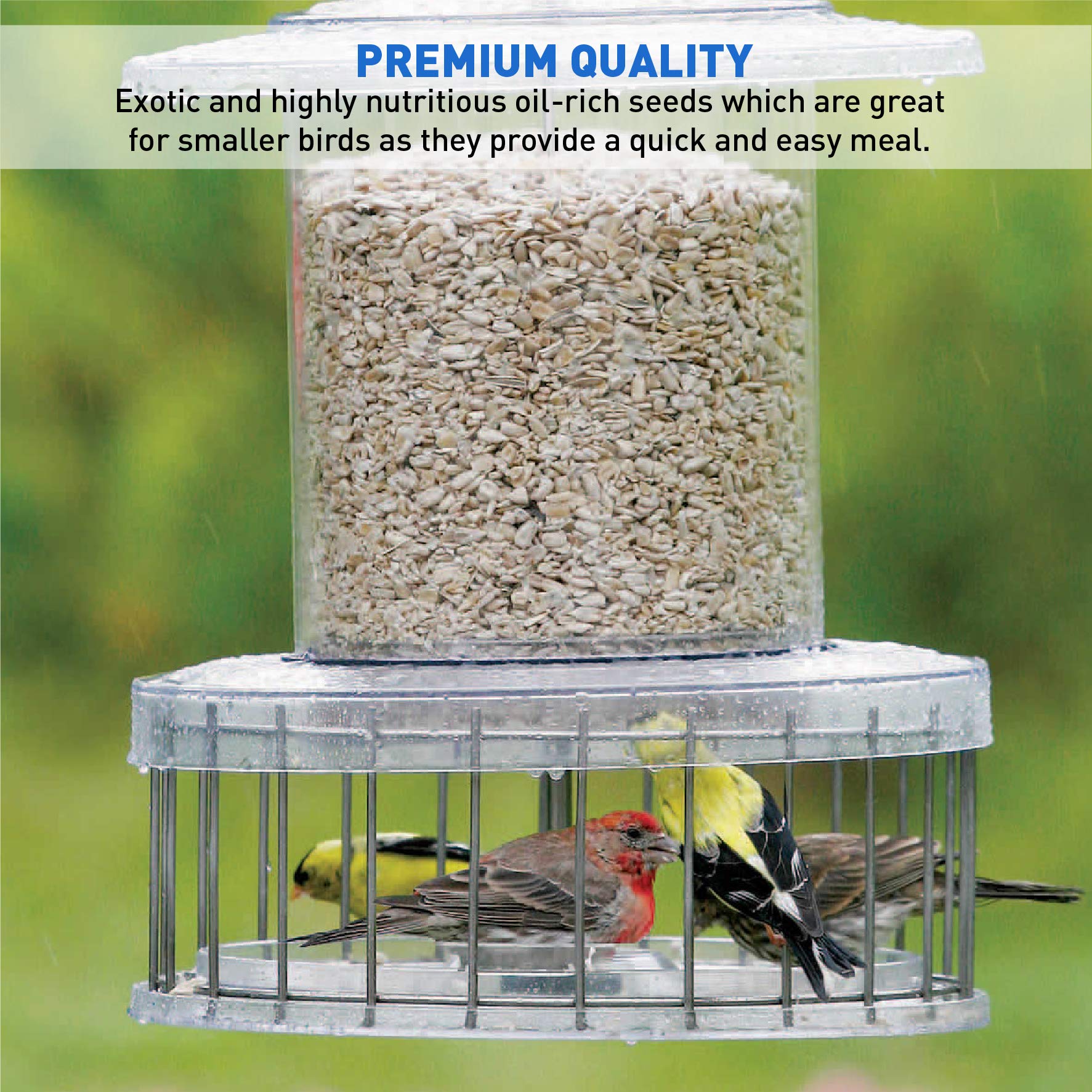 EasyGoProdcuts Sunflower Kernels β Medium Sun Flower Wild Bird Seed Chips 50 lb
